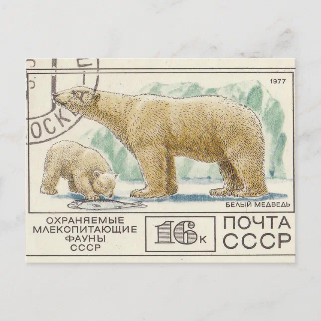 Soviet postage stamp polar bear postcard | Zazzle