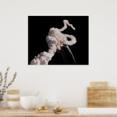 Space Shuttle Challenger Disaster Poster | Zazzle