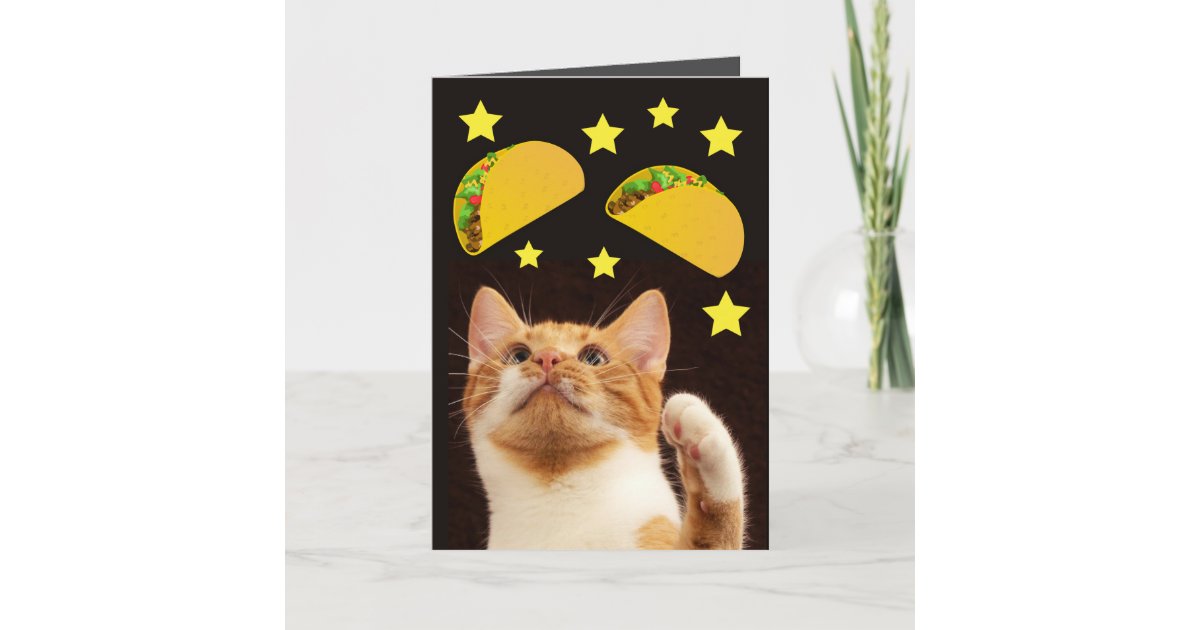 SPACE TACO CAT WITH TACOS BIRTHDAY CARDS | Zazzle