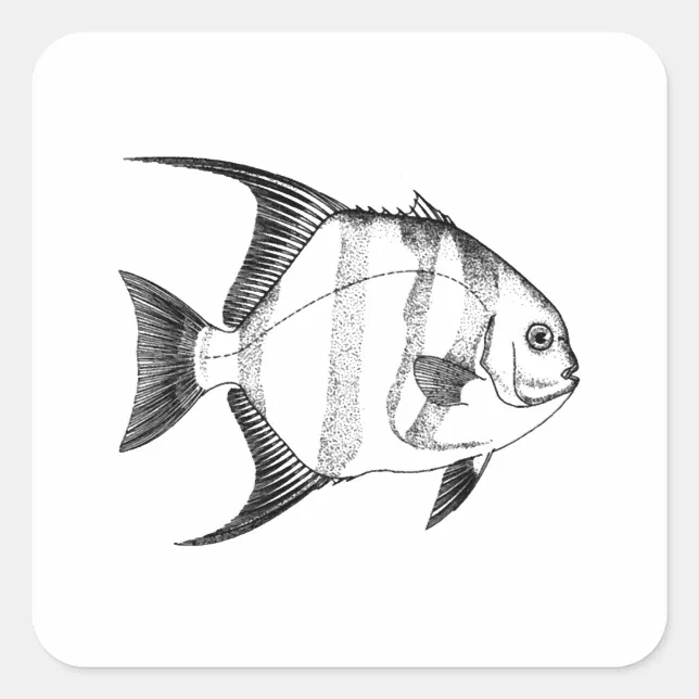 Spadefish Illustration Square Sticker | Zazzle