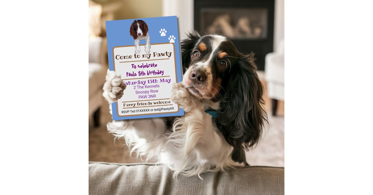Spaniel dog King Charles Springer Invitation | Zazzle