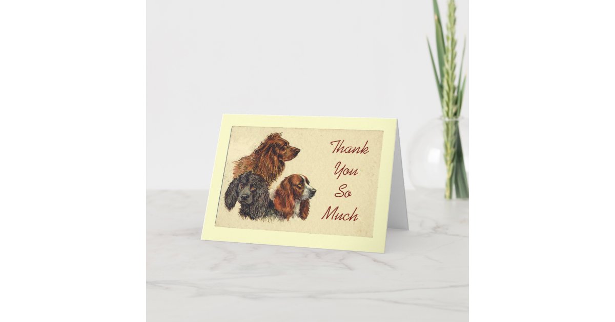 Spaniels Thank You Note Card | Zazzle