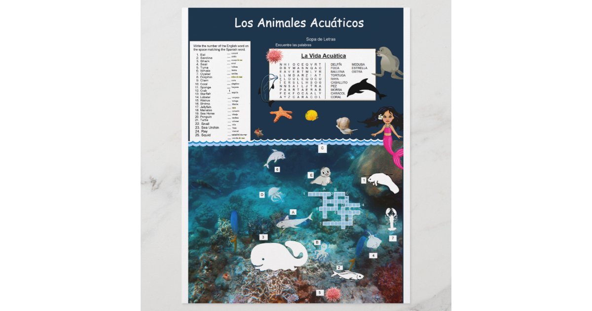 Spanish-English Bilingual Activity Page for Kids | Zazzle