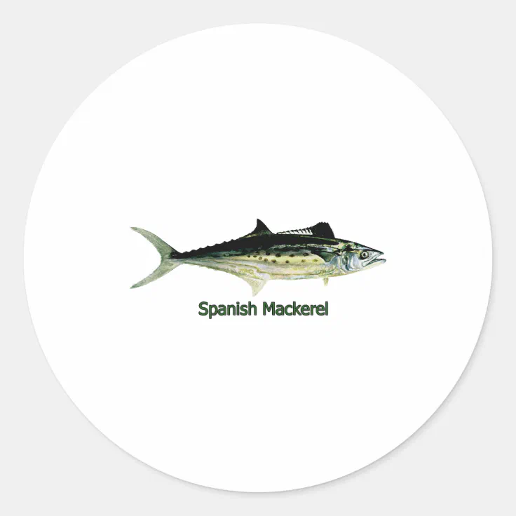 Spanish Mackerel Logo Classic Round Sticker | Zazzle