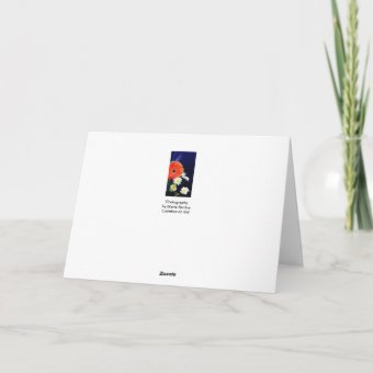 Spanish:Mother's Day roses/ Dia de la Madre Card | Zazzle