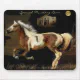 SPANISH MUSTANG BARB HORSE LOVER Mousepad | Zazzle