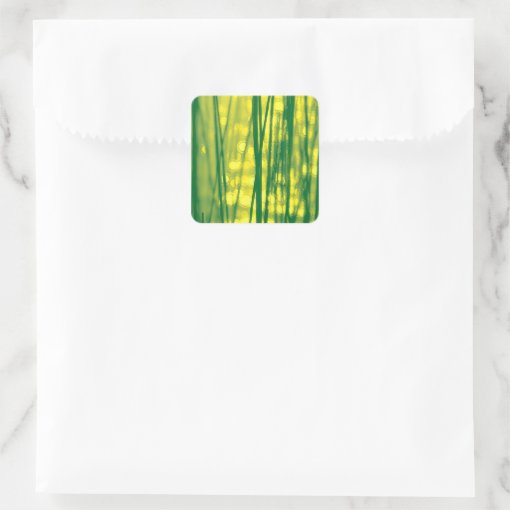 Sparkling Reed Grass Green/Yellow Square Sticker | Zazzle