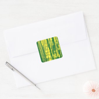 Sparkling Reed Grass Green/Yellow Square Sticker | Zazzle