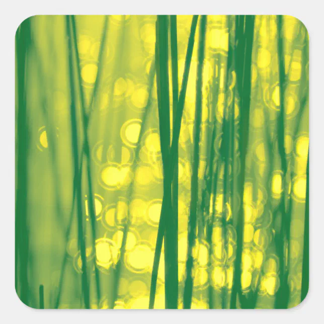Sparkling Reed Grass Green/Yellow Square Sticker | Zazzle