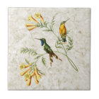 Sparkling Tailed Hummingbird Ceramic Tile | Zazzle