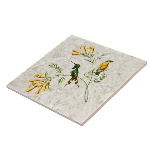 Sparkling Tailed Hummingbird Ceramic Tile | Zazzle