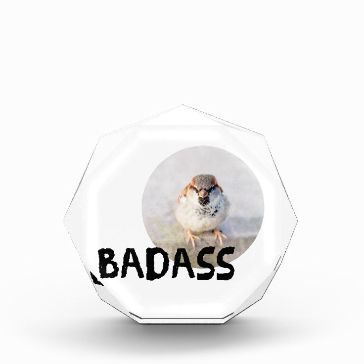 Sparrow - Badass Acrylic Award | Zazzle