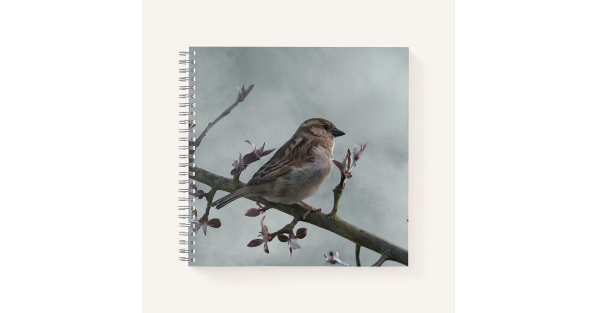 Sparrow on Branch Photo Notebook | Zazzle