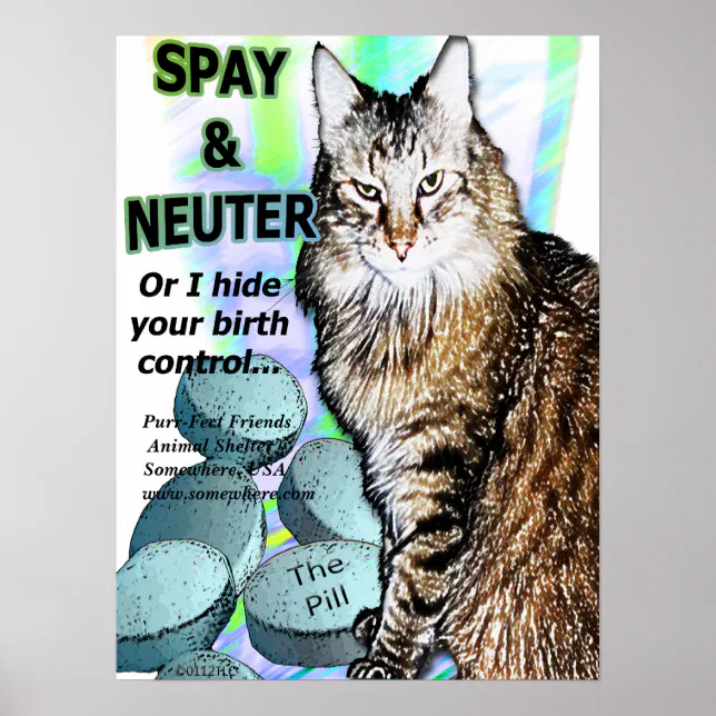 Spay and Neuter (Or I hide your birth control) Poster | Zazzle