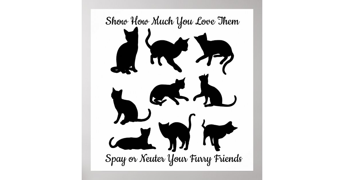 Spay or Neuter Poster | Zazzle