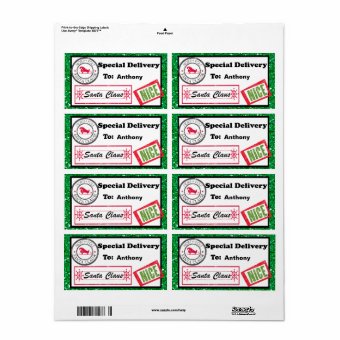 Special Delivery Christmas Package Label | Zazzle