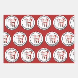 Special Delivery from Santa Set of Christmas Wrapping Paper Sheets | Zazzle