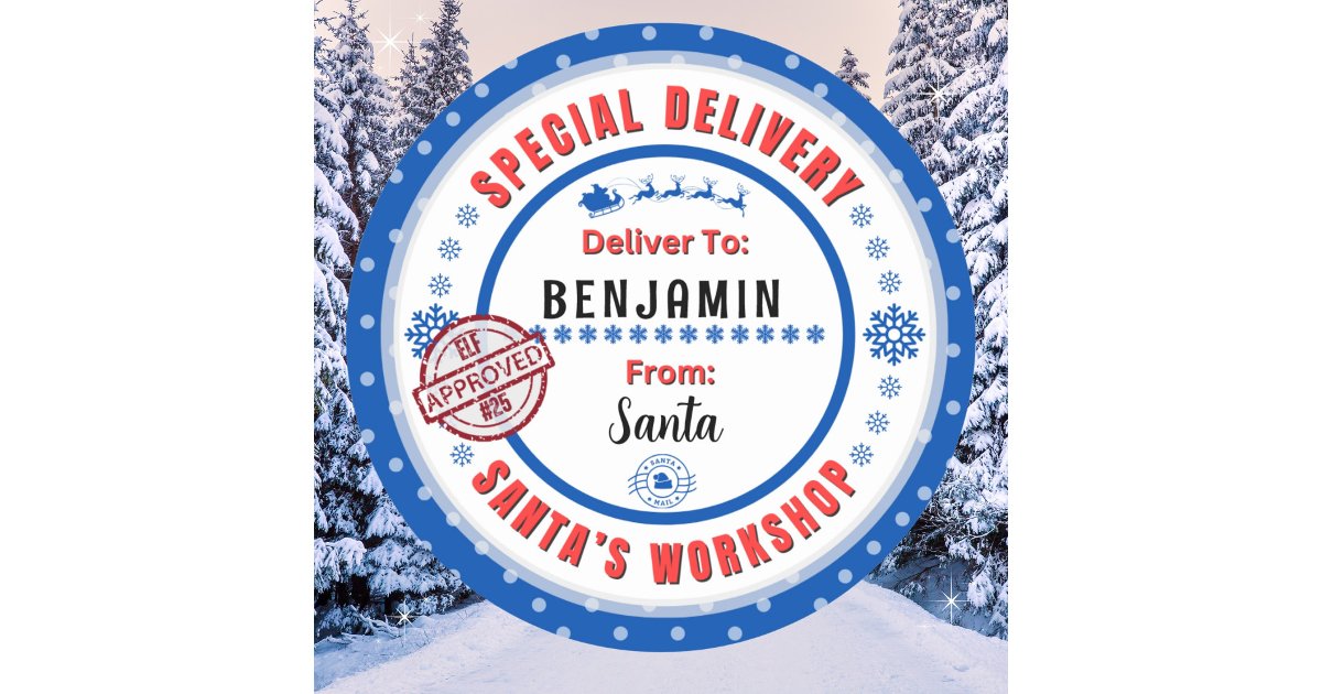 Special Delivery from Santa to Child Gift Label | Zazzle