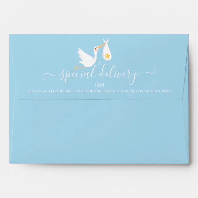 Special Delivery Stork Baby Shower Sprinkle Blue Envelope | Zazzle
