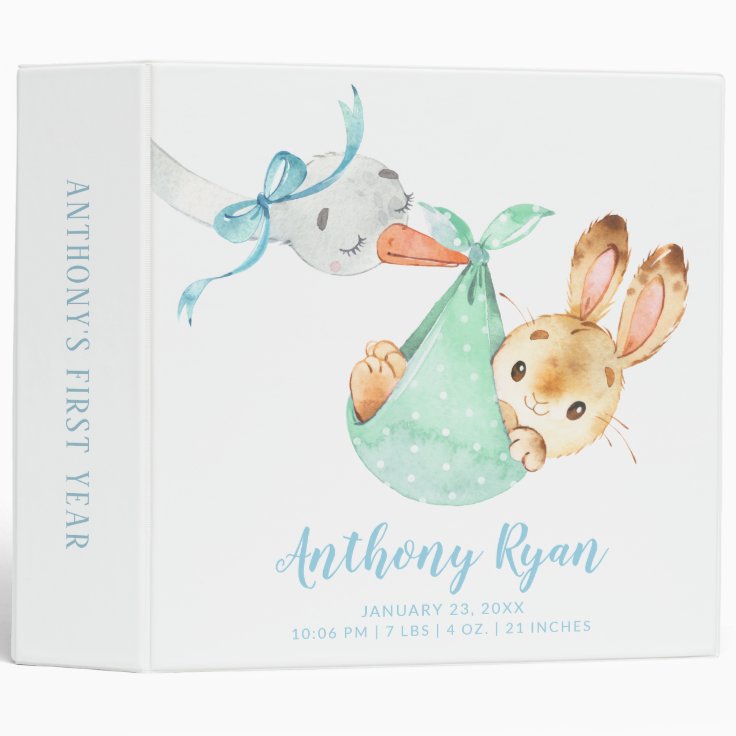 Special Delivery Stork Bunny Baby Photo Album 3 Ring Binder | Zazzle