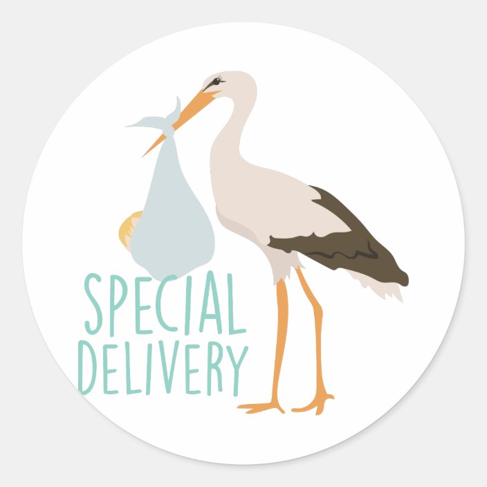 Special Delivery Stork Classic Round Sticker | Zazzle