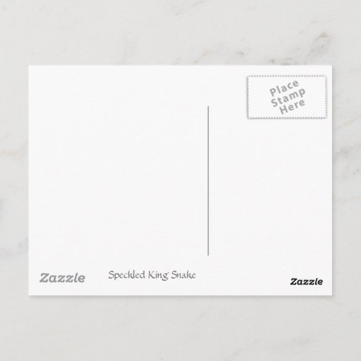 Speckled King Snake Postcard | Zazzle