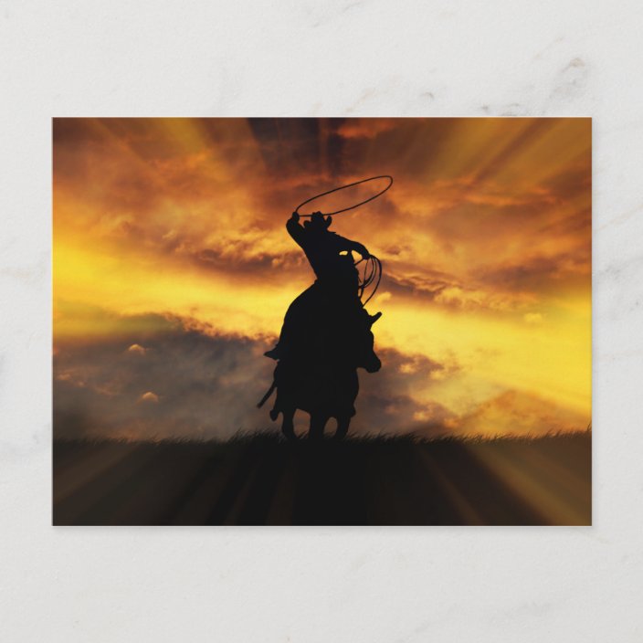 Spectacular Roping Cowboy Horse Steer and Sunset Postcard | Zazzle.com