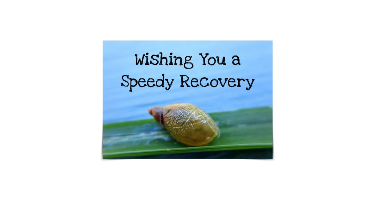 "Speedy Recovery" Get Better Soon Snail Card | Zazzle
