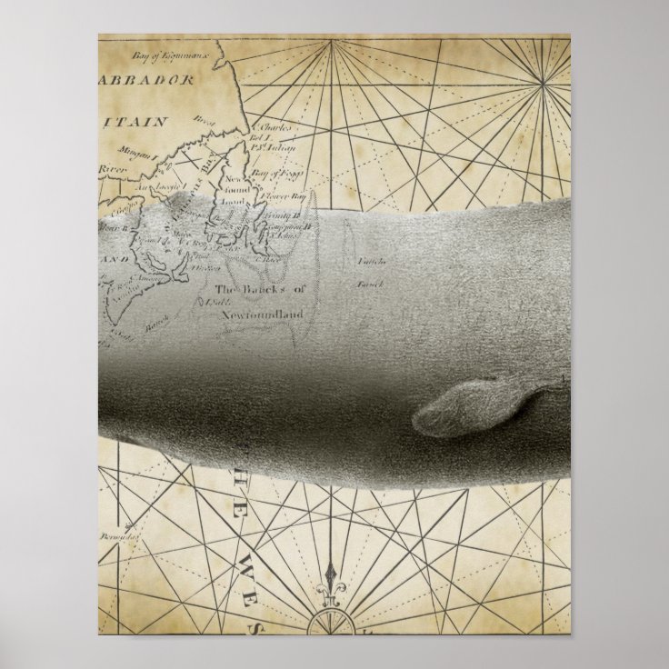 Sperm Whale Vintage Nautical Map Part2 Poster | Zazzle