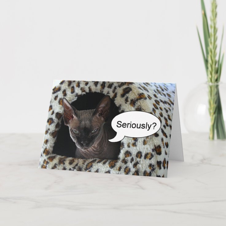 Sphinx Cat Birthday Humor Card | Zazzle