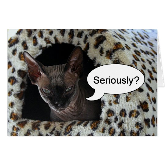 Sphinx Cat Birthday Humor Card | Zazzle.com