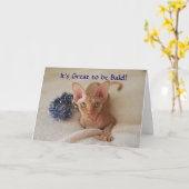 Sphinx Cat Hairless Chemotherapy Humor Card | Zazzle