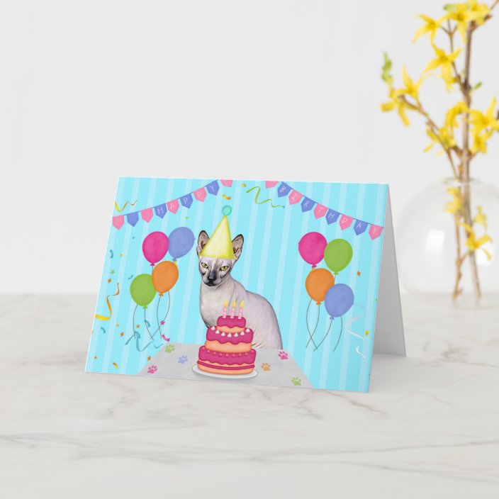 Sphynx Cat Birthday Holiday Card | Zazzle.com