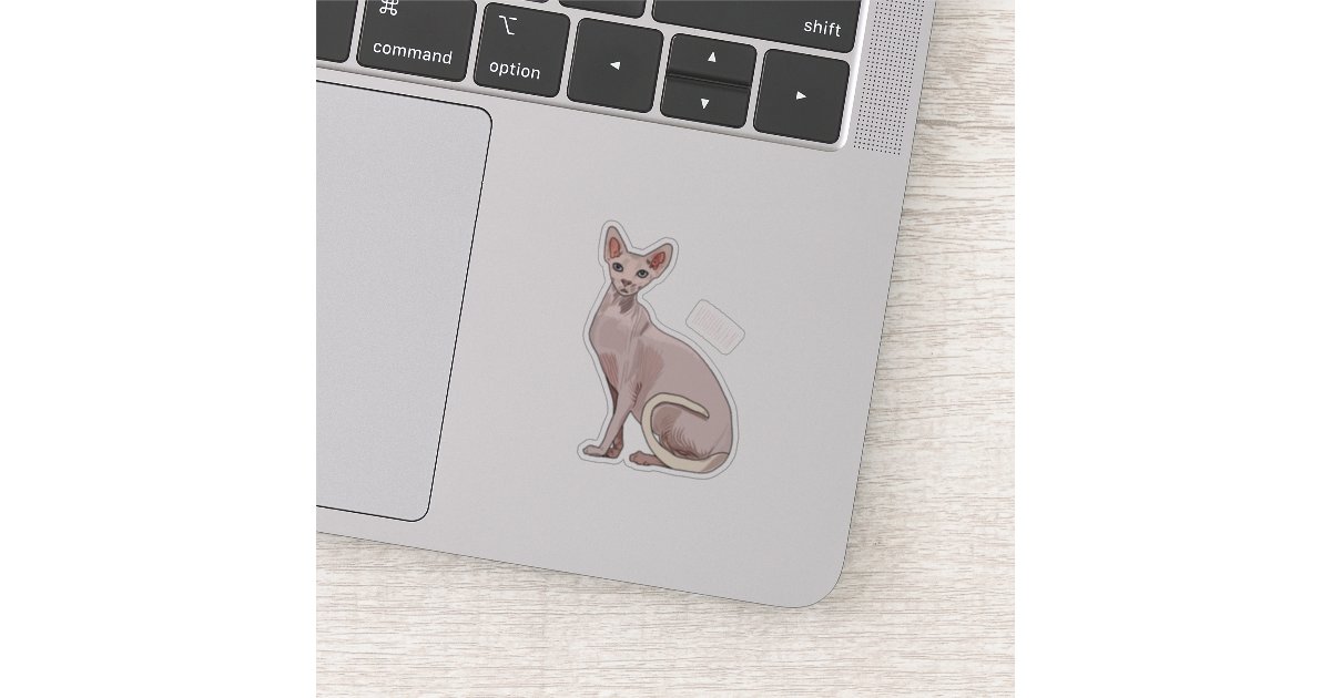 Sphynx cat cartoon illustration sticker | Zazzle