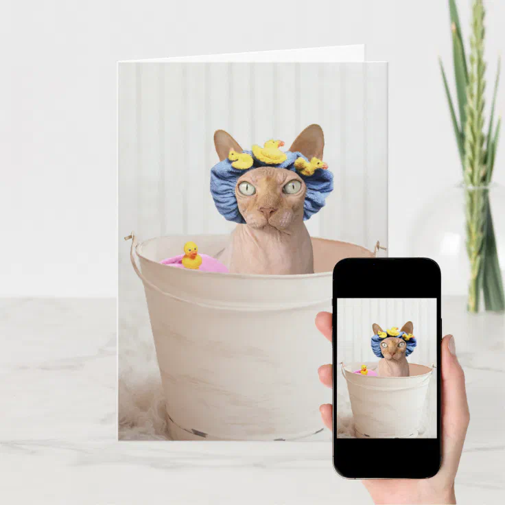 SPHYNX CAT (HAIRLESS) FUNNY CAT BIRTHDAY CARDS | Zazzle