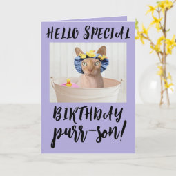 SPHYNX HAIRLESS CAT BIRTHDAY GREETING CARDS | Zazzle