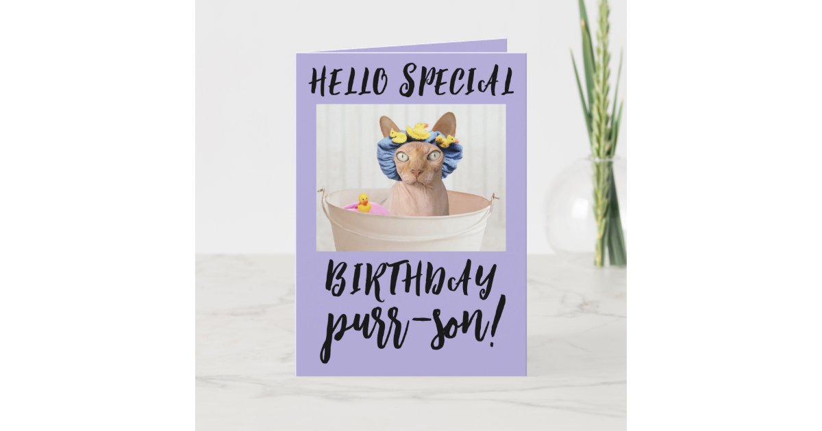 SPHYNX HAIRLESS CAT BIRTHDAY GREETING CARDS | Zazzle