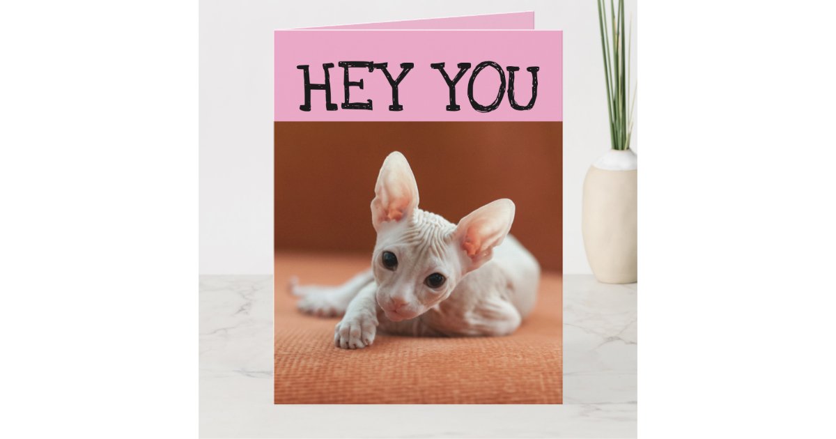 SPHYNX HAIRLESS CAT KITTEN BIRTHDAY GREETING CARD | Zazzle