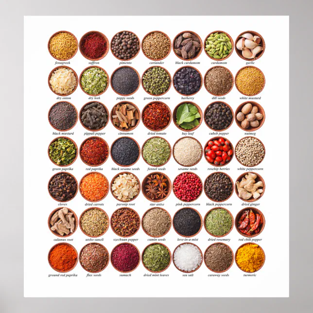 Spice Chart Poster - SRF | Zazzle
