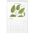 Spices 2015 calendar | Zazzle