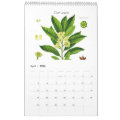 Spices 2015 calendar | Zazzle