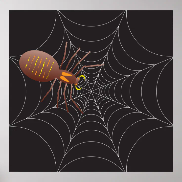 Spider And Spider Web Poster | Zazzle