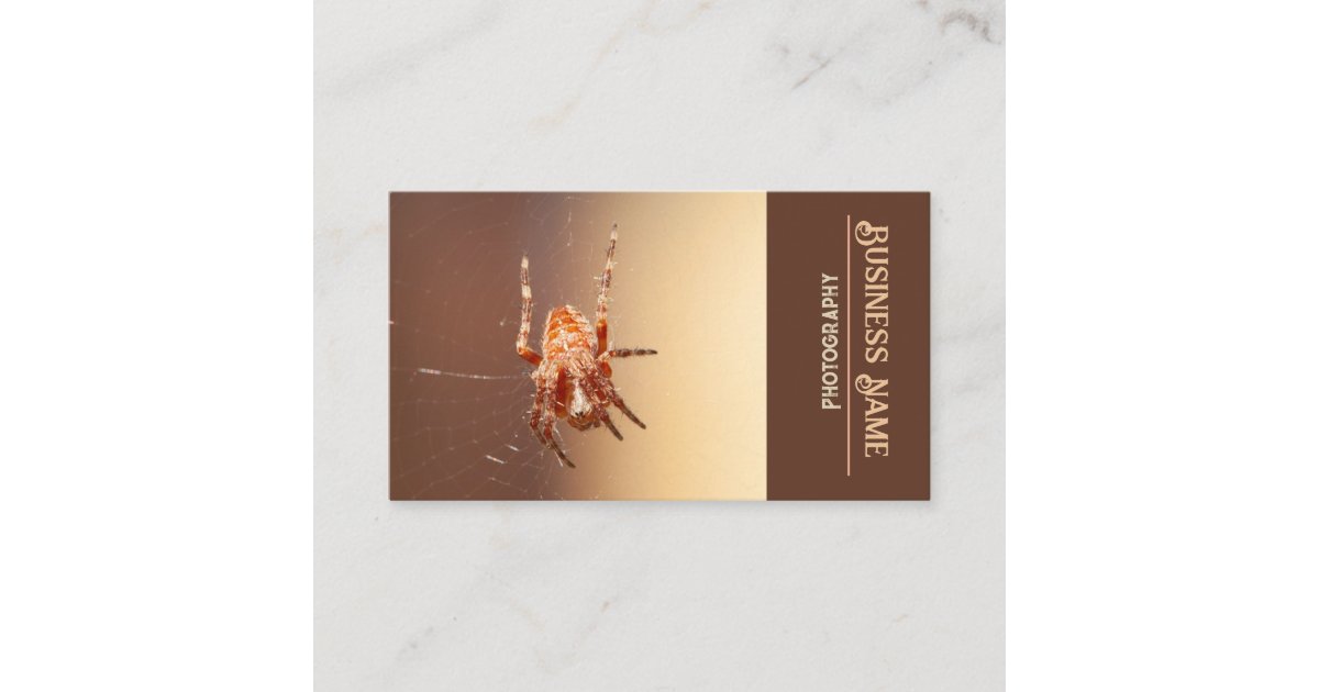 Spider Business Card | Zazzle