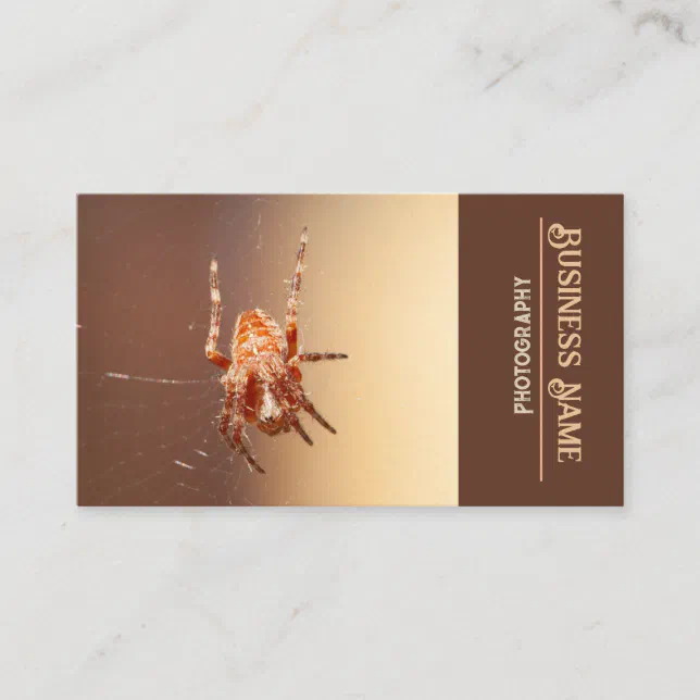 Spider Business Card | Zazzle