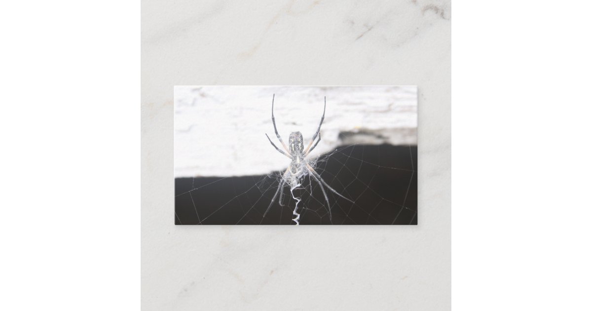 Spider Business Cards | Zazzle