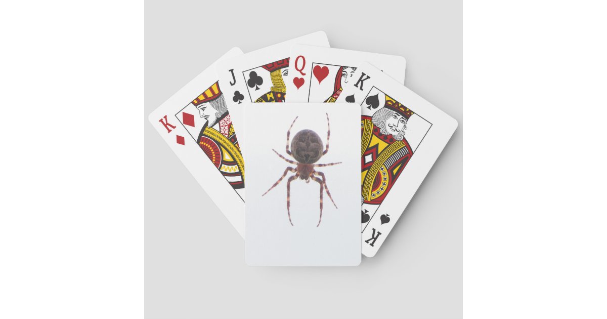 Spider Cards | Zazzle