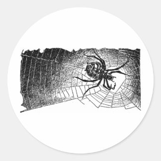 Spider Stickers | Zazzle