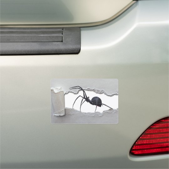 Spider crawling out of car funny humor car magnet | Zazzle.com