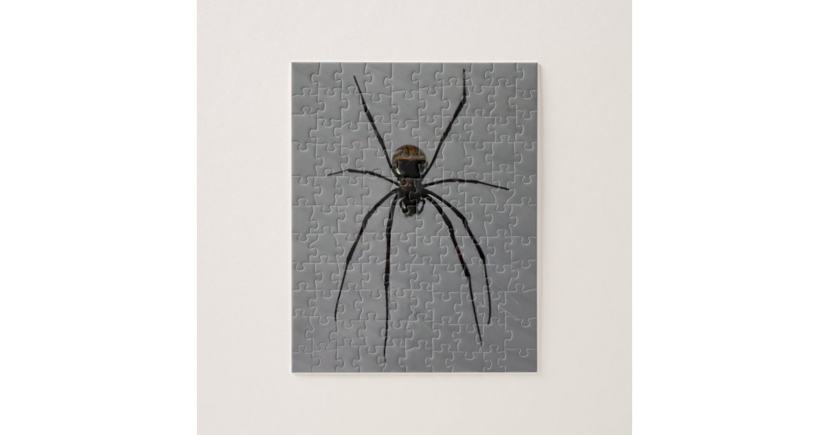 Spider Jigsaw Puzzle | Zazzle