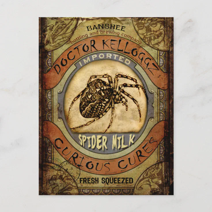 Spider Milk Postcard | Zazzle